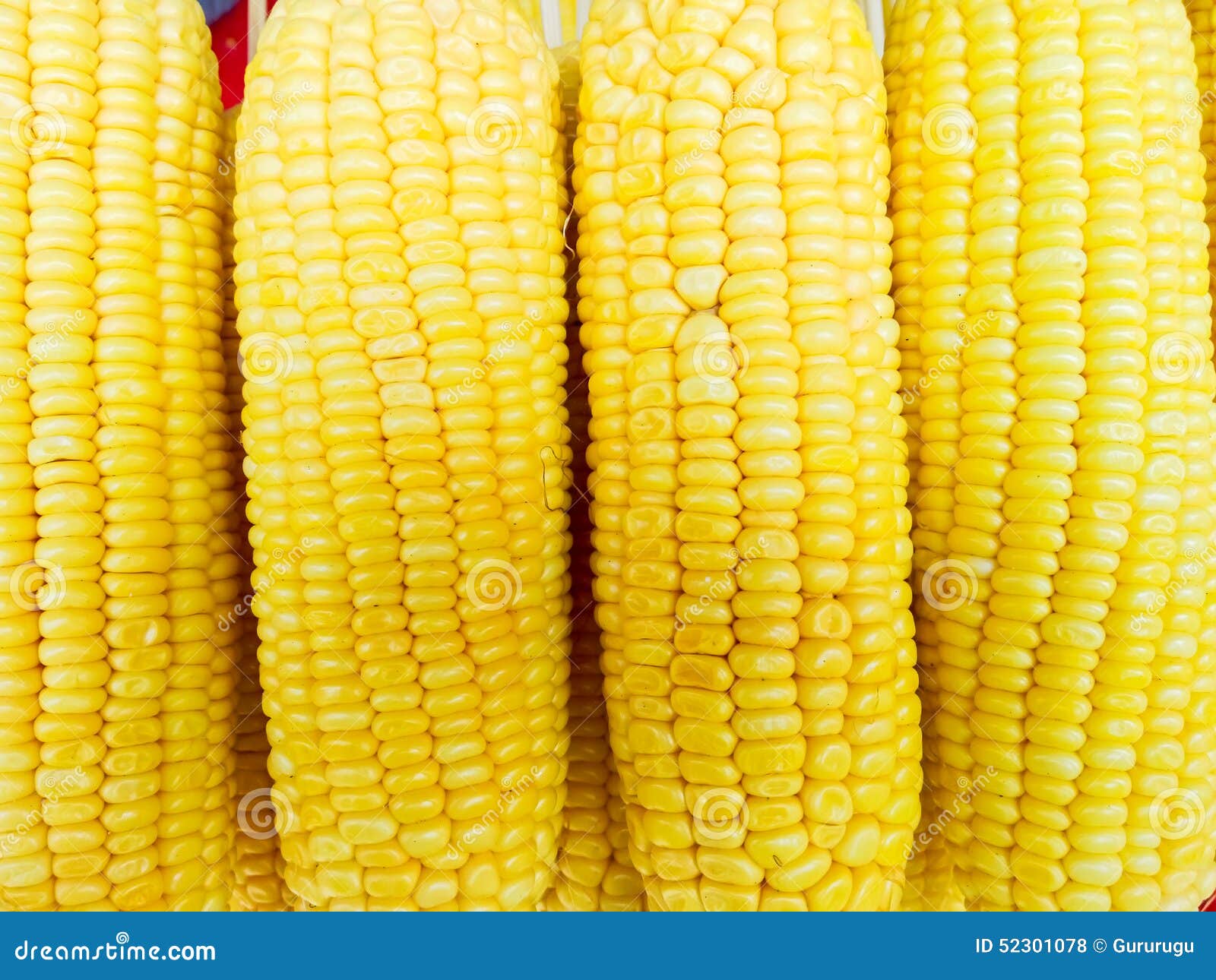 Piles of raw corn stock photo. Image of fresh, ingredient - 52301078