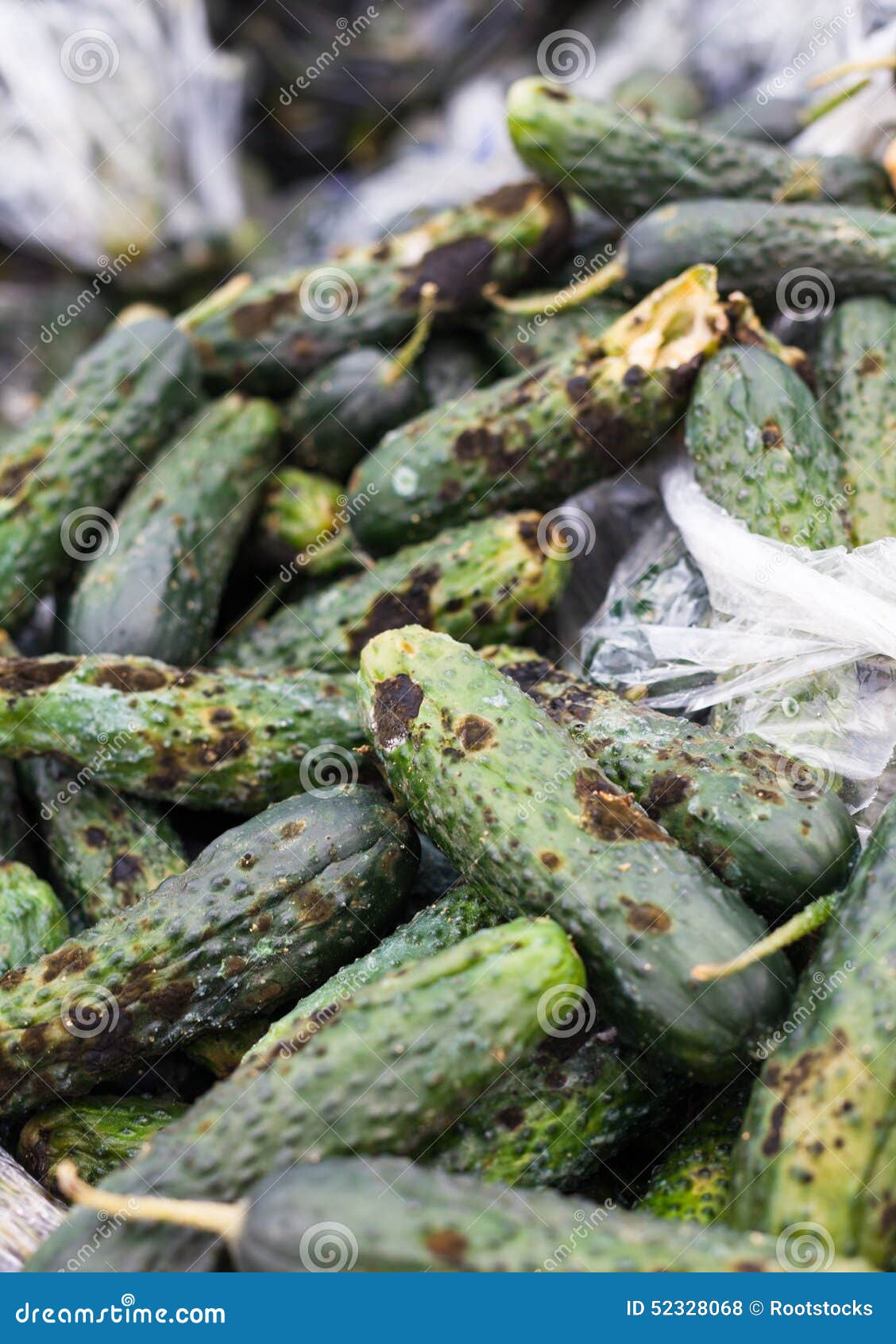 Rotten Cucumbers On Yellow Background. Excessive Consumption Concept ...