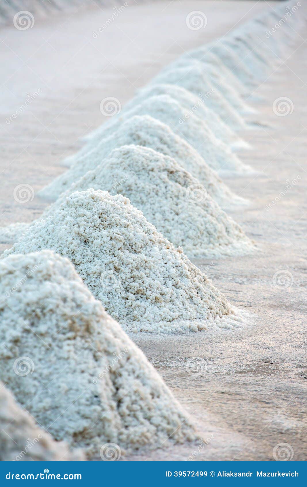 Piles of Salt on the Surface of the Salt Lake Stock Image - Image of ...