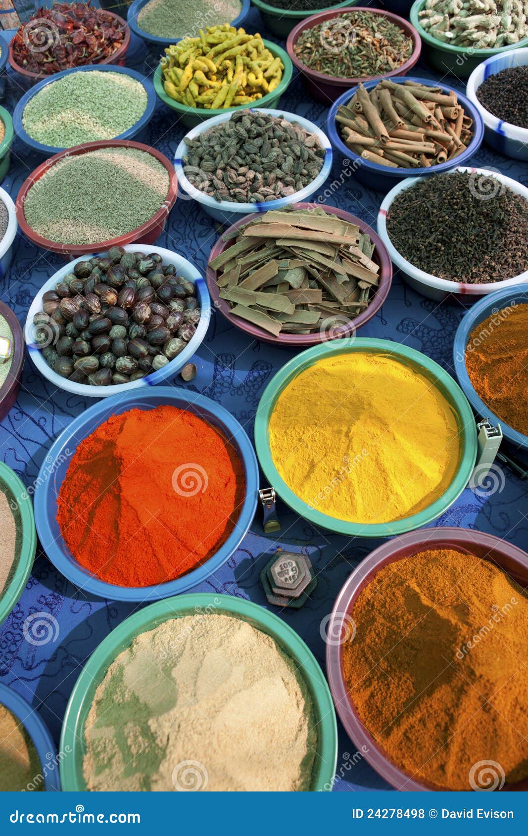 Piles of Spices stock photo. Image of indian, paprika - 24278498