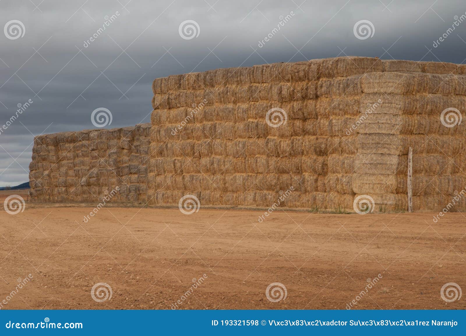 Piles of Stacked Rectangular Straw Bales in a Farmland. Stock Photo ...