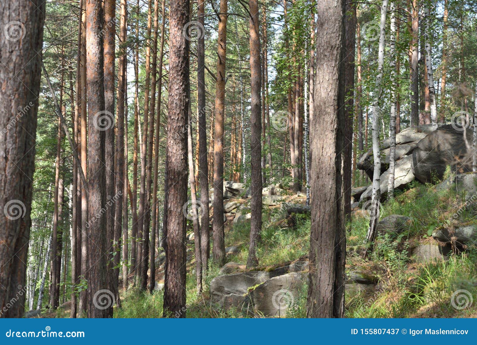 Old Ural Mountains stock image. Image of outdoor, mountains - 155807437