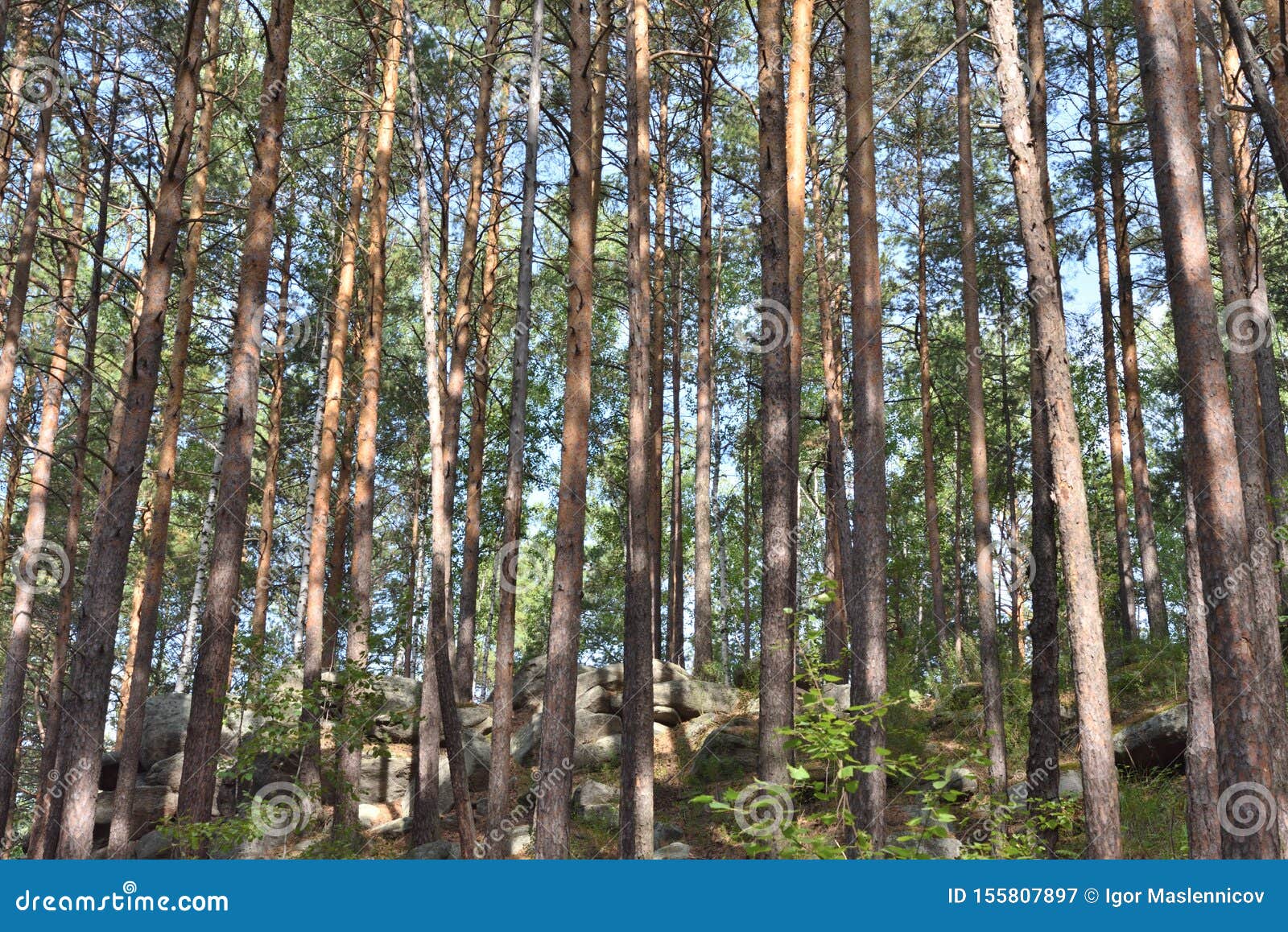 Old Ural Mountains stock image. Image of destroyed, landscape - 155807897