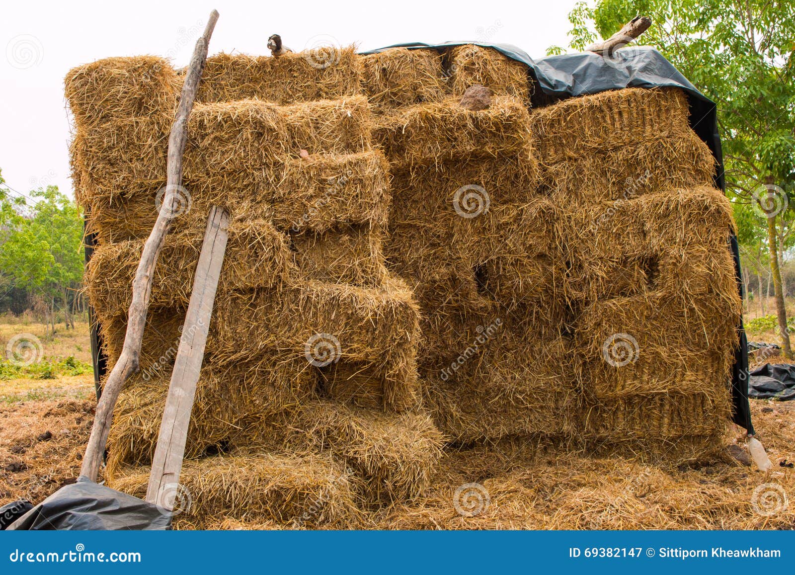 Piles of straw stock image. Image of green, farm, brown - 69382147
