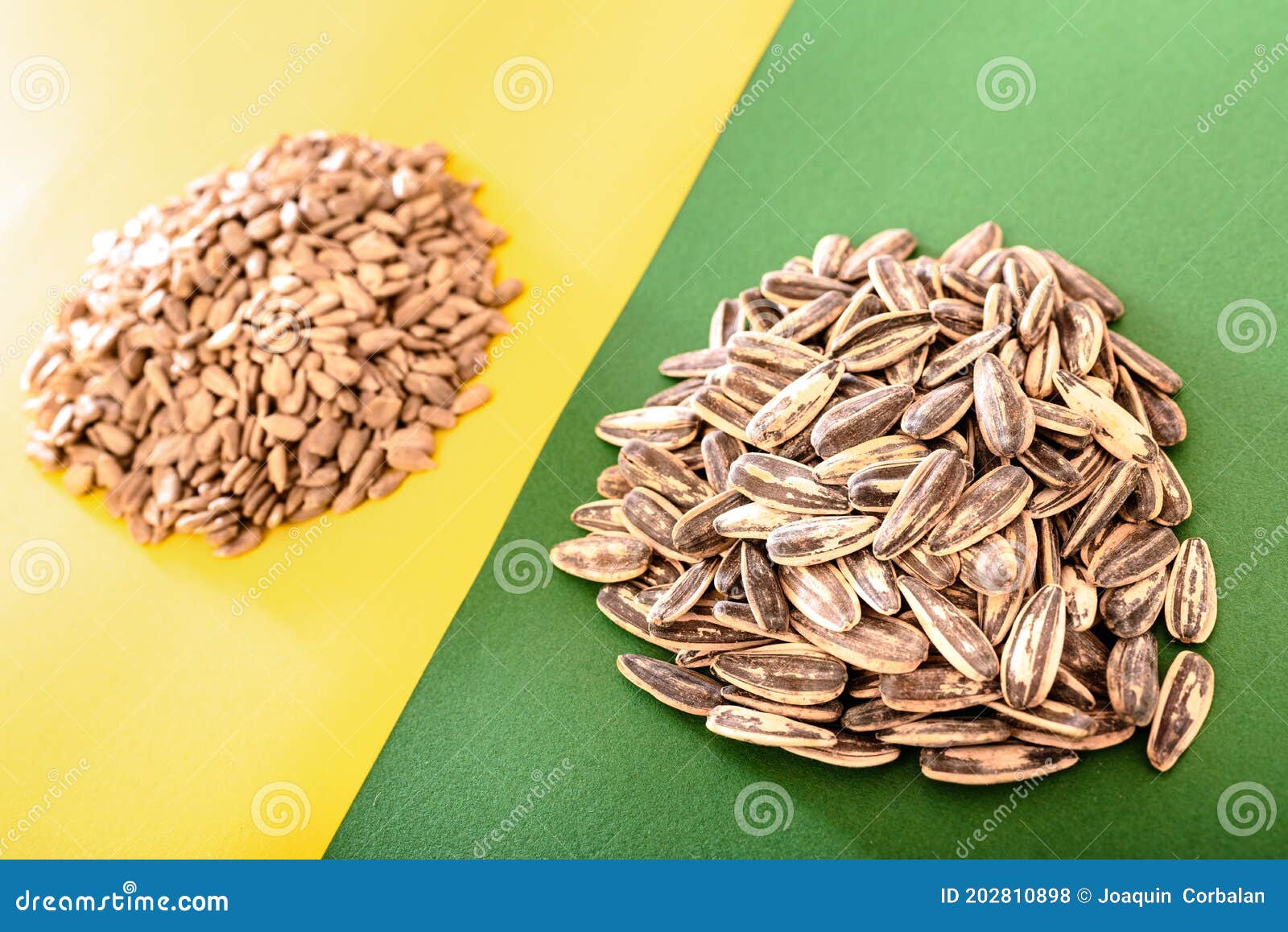 Piles of Sunflower Seeds Isolated in Studio Stock Photo - Image of ...