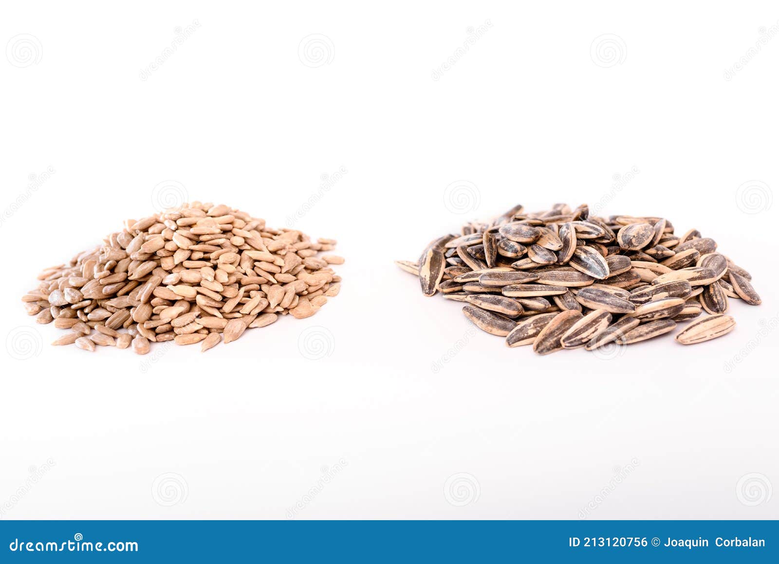 Piles of Sunflower Seeds Isolated in Studio Stock Photo - Image of ...