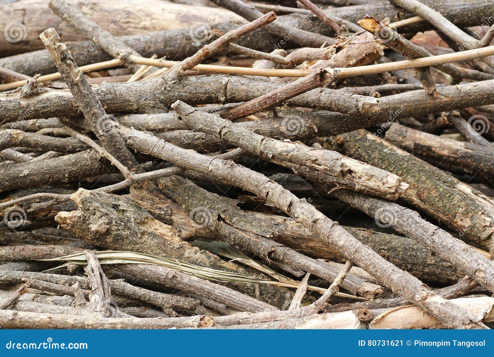 Piles of tree branches stock image. Image of detail, closeup - 80731621