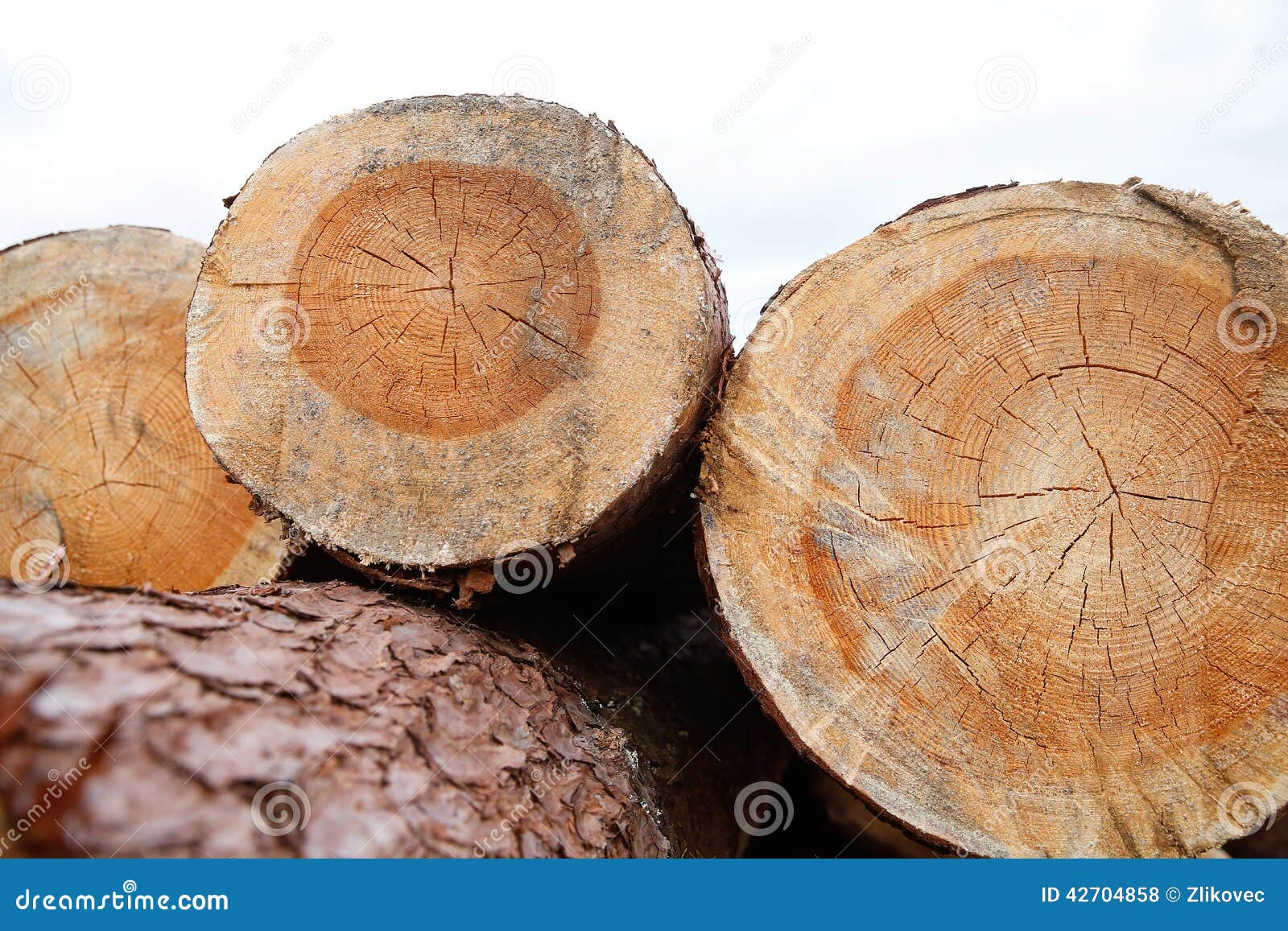 Piles Of Tree Cut Trunks Background Royalty-Free Stock Image ...