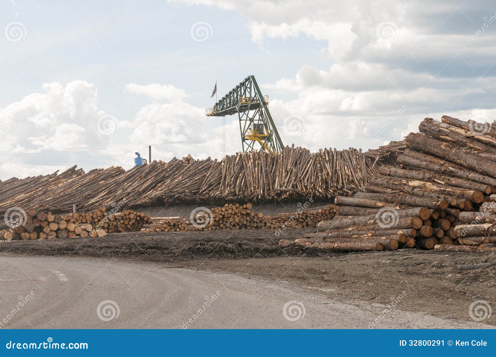 Logs at lumber mill stock image. Image of pile, factory - 32800291