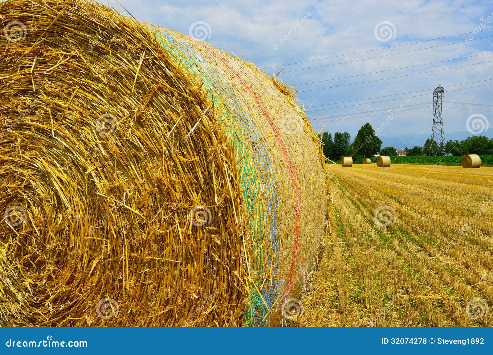 Piles Of Wheat On Farm Field, Wheat Wrapped Stock Photo - Image of ...