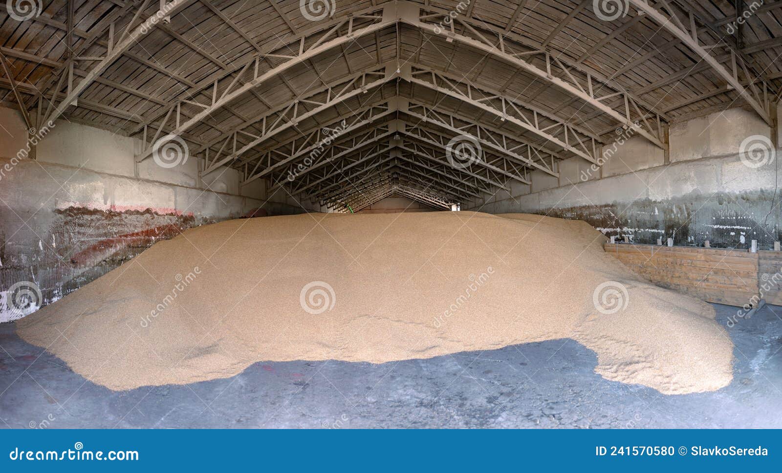 Piles of Wheat Grains at Mill Storage or Grain Elevator. the Main ...