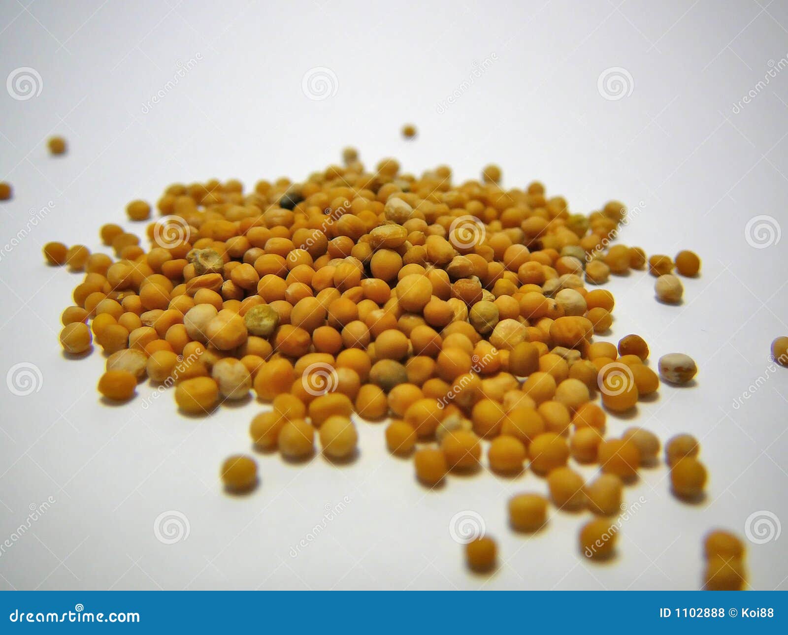 Pilha Das Grões Da Semente De Mostarda Foto de Stock - Imagem de ...