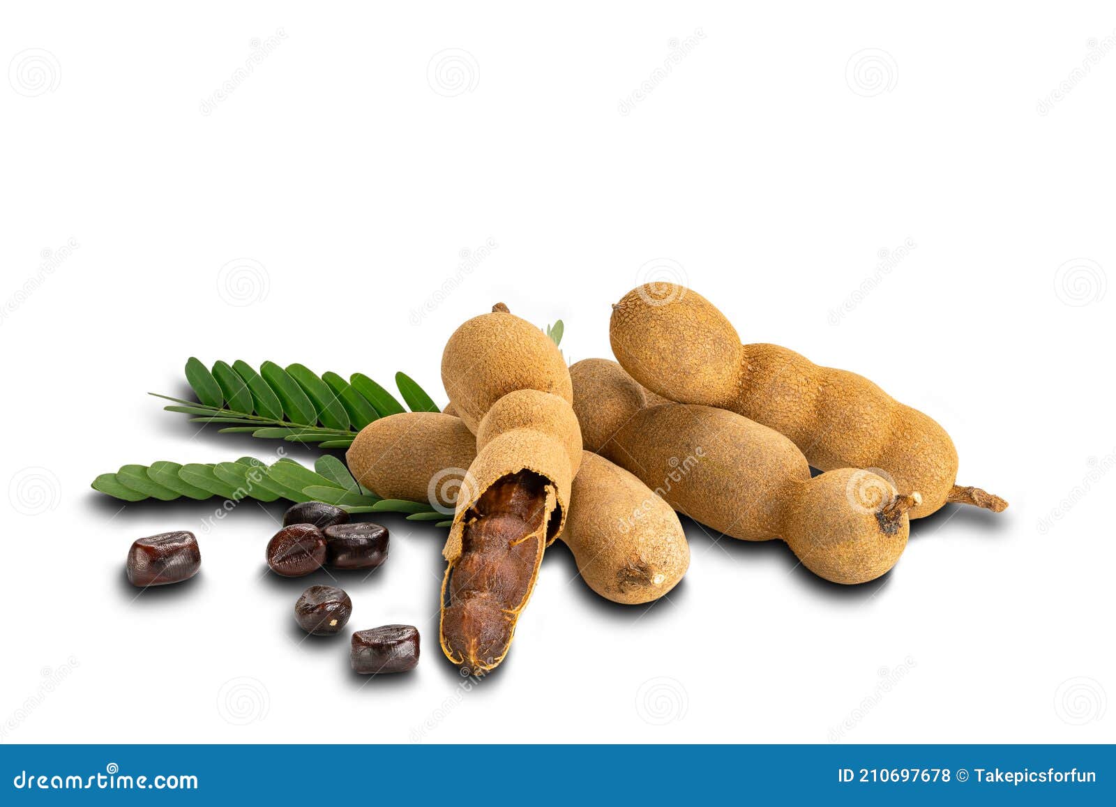 Pilha De Samarind Com Sementes E Folhas Sobre Fundo Branco Foto de ...