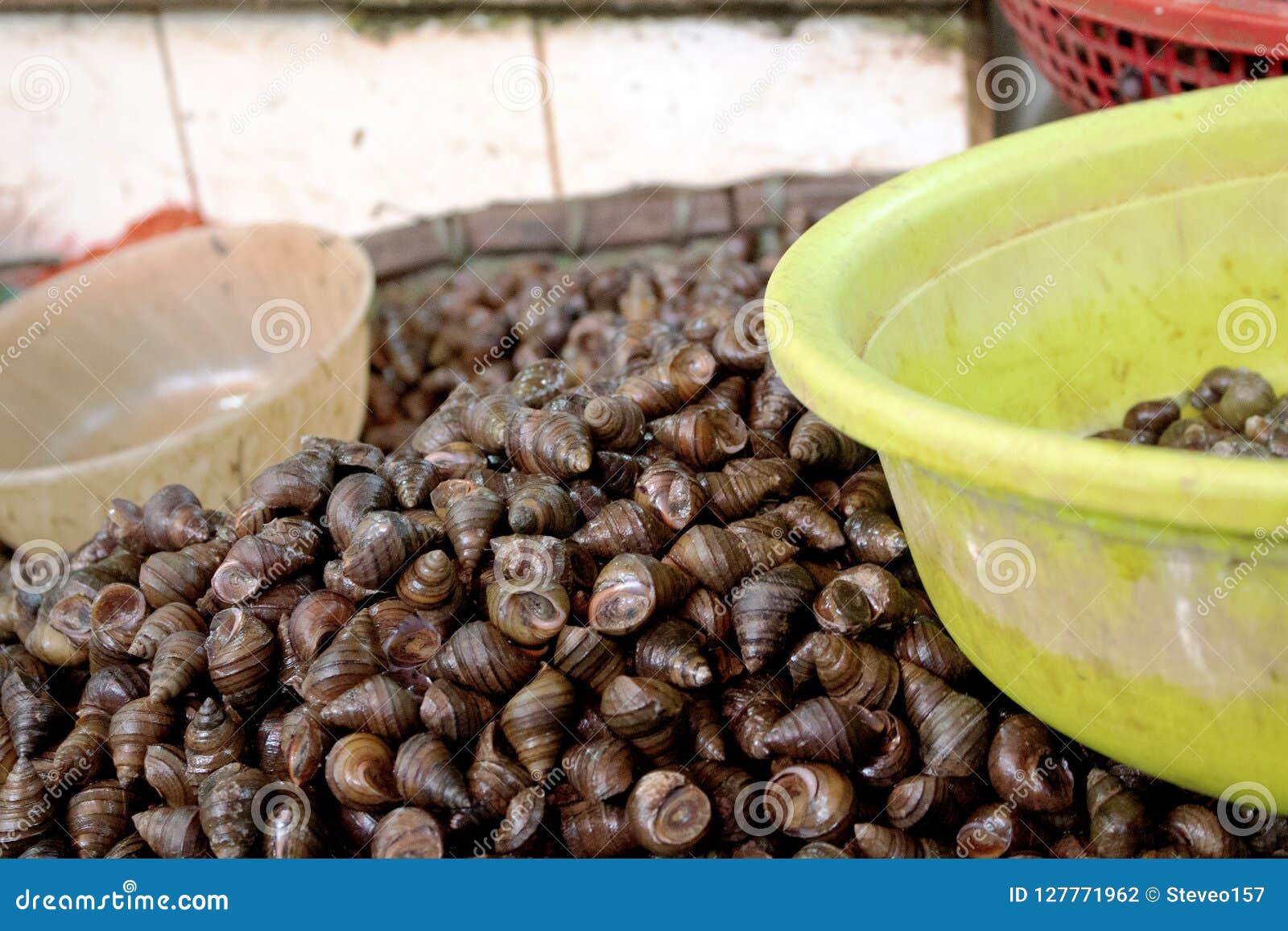 Pilha De Shell Do Caracol No Mercado Local Foto de Stock - Imagem de ...