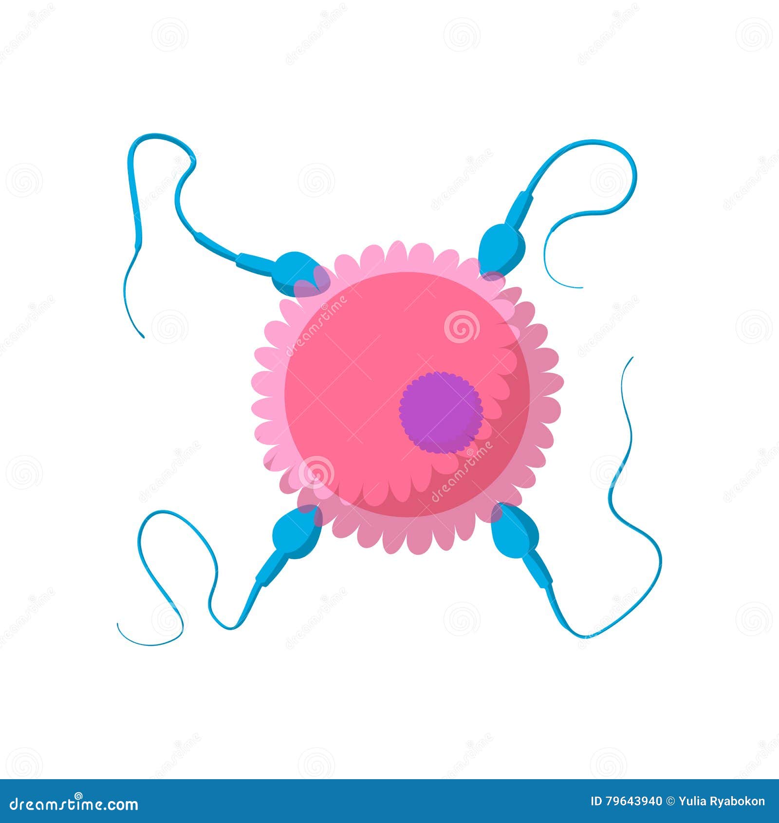 Pilhas De Esperma E ícone Dos Desenhos Animados Do ôvulo Humano ...
