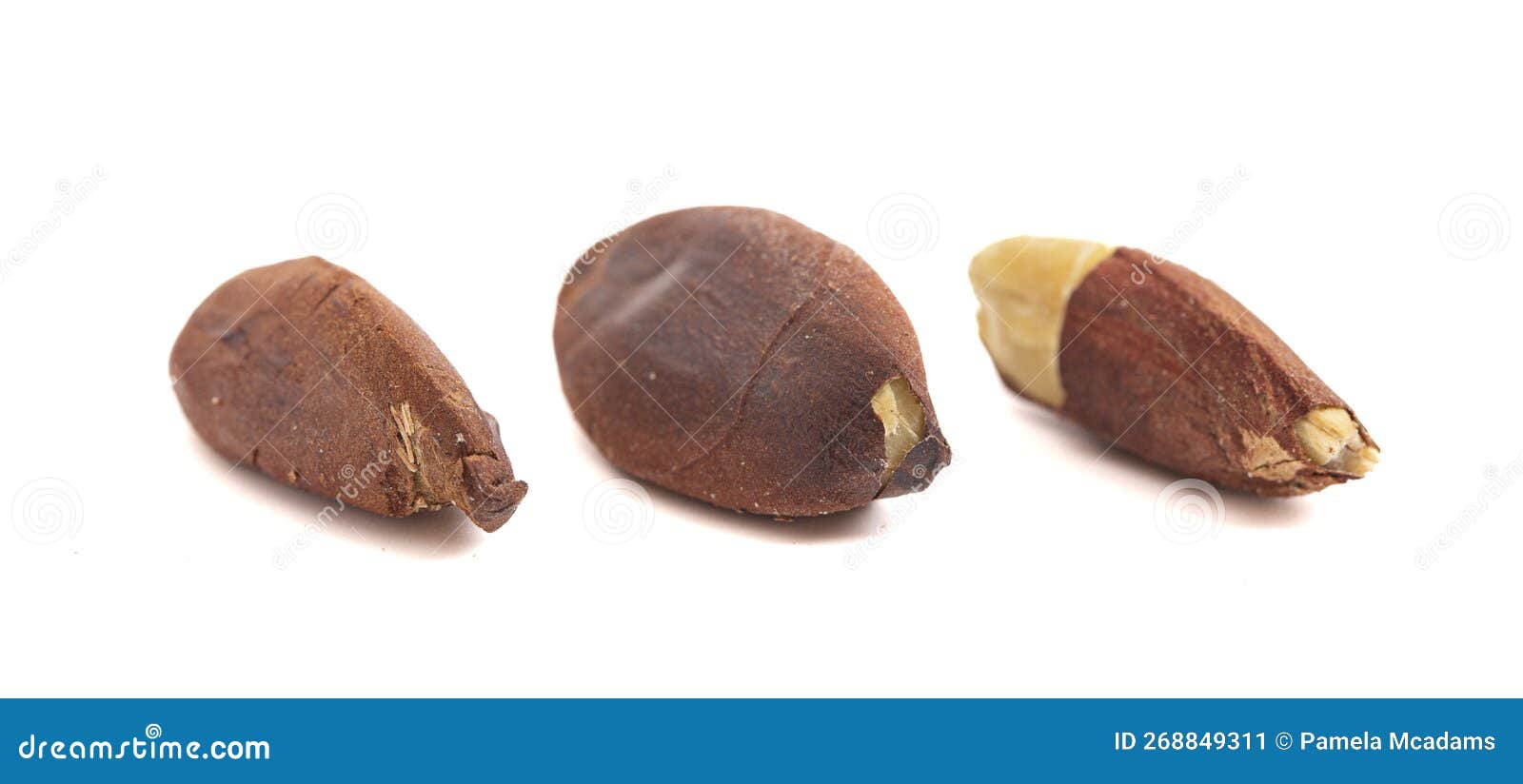 Pili Nuts from the Philippines Isolated on White Background Stock Image ...