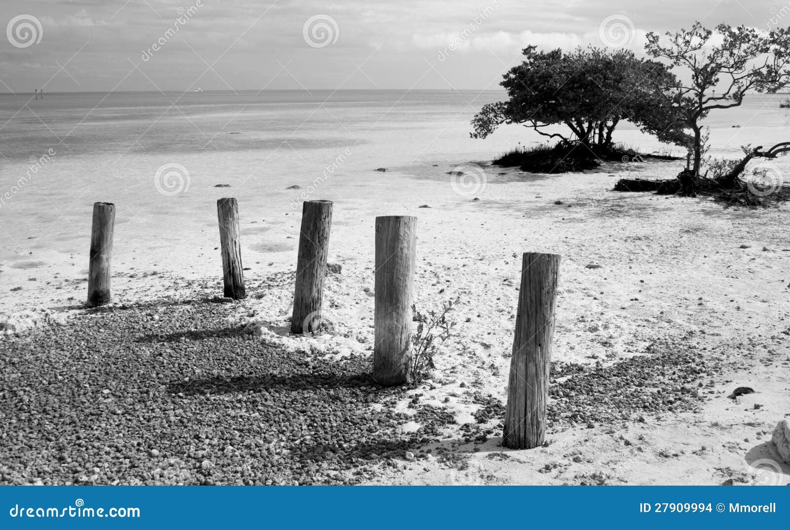 Pilings on the beach stock photo. Image of coastal, seashore - 27909994