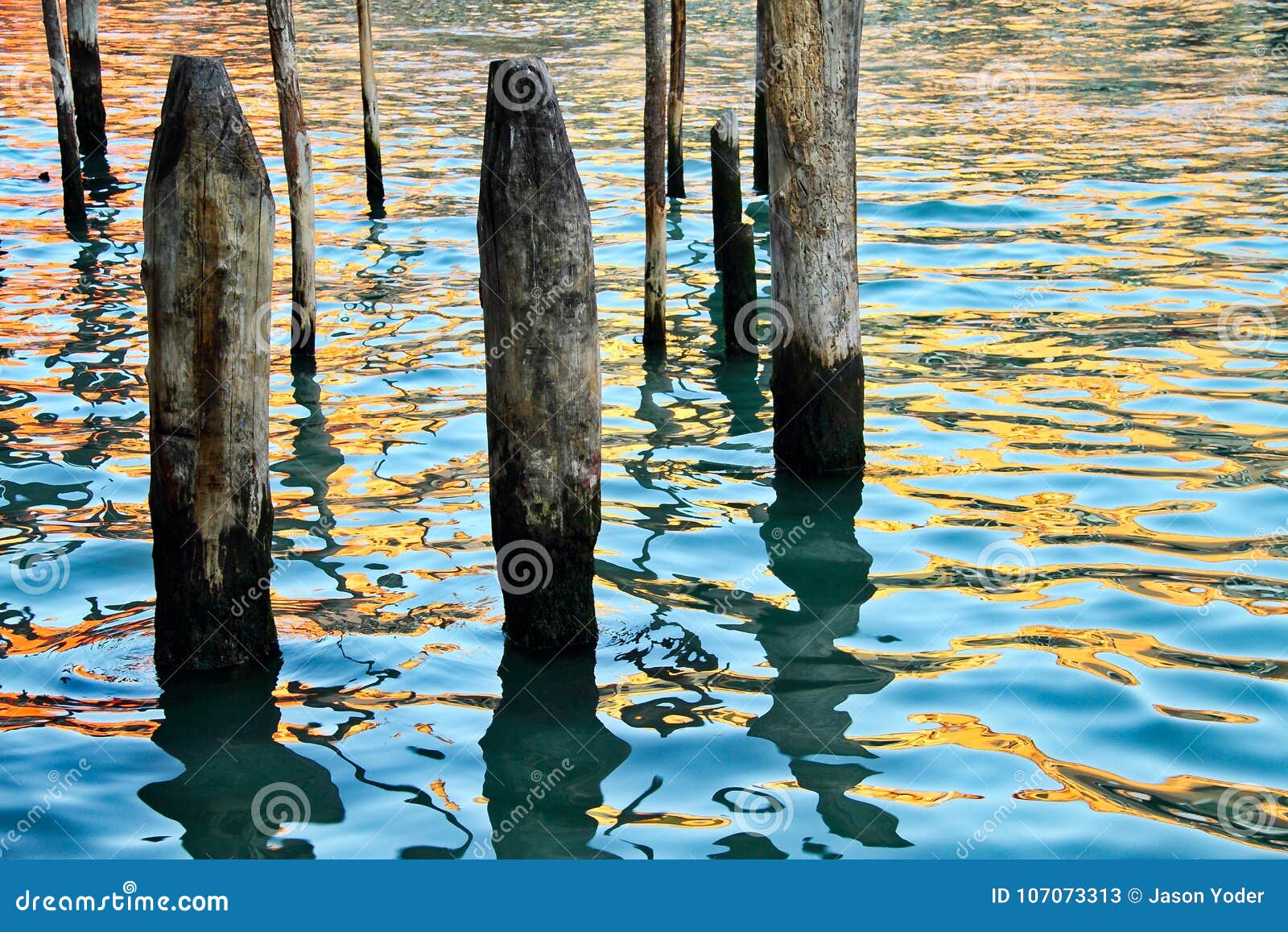 Pilings in Water stock image. Image of pilings, nautical - 107073313