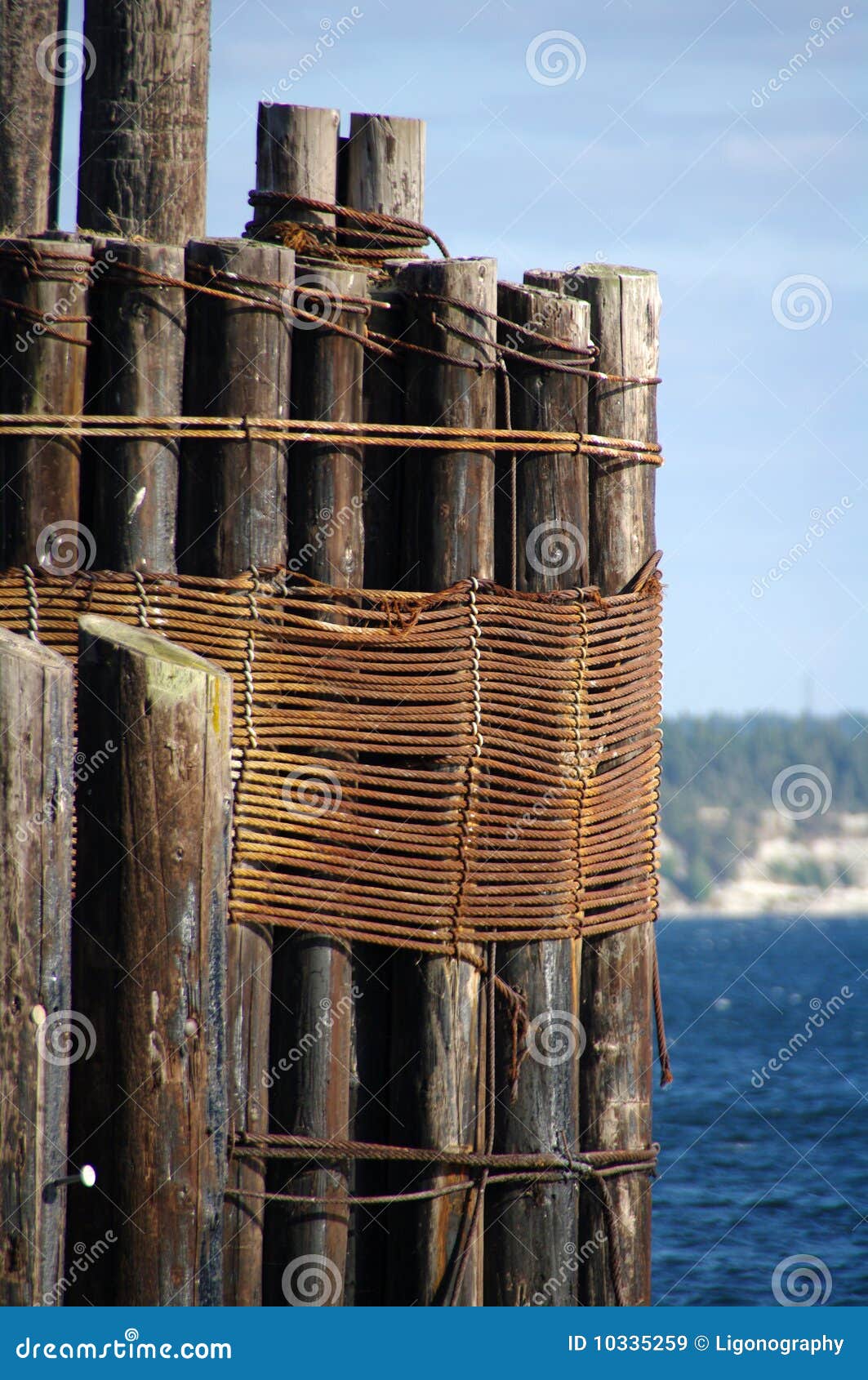 Pilings at the Pier stock image. Image of scenic, dock - 10335259