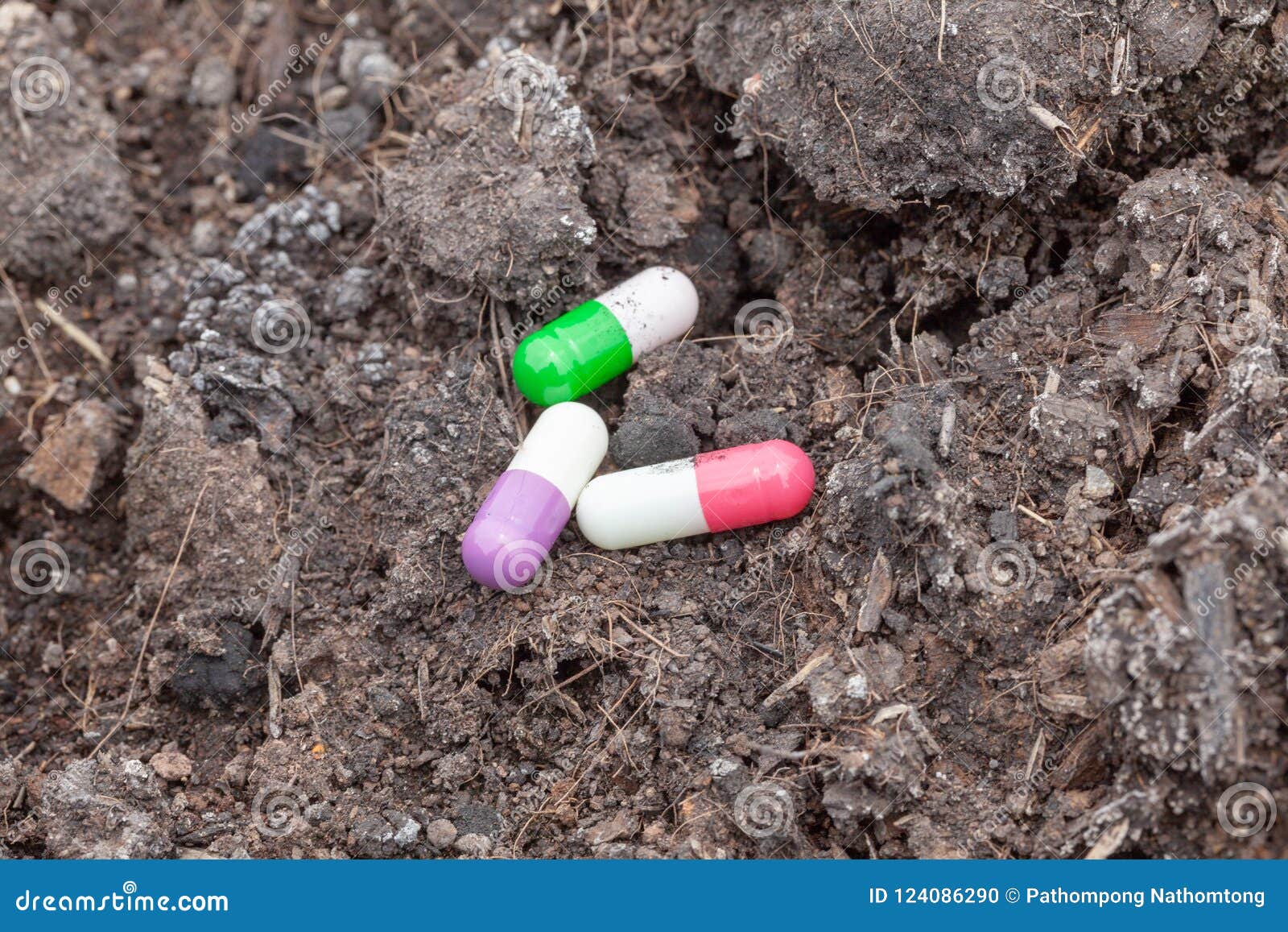 Pill on Dirt and Plant at Farm Stock Photo - Image of greenhouse ...
