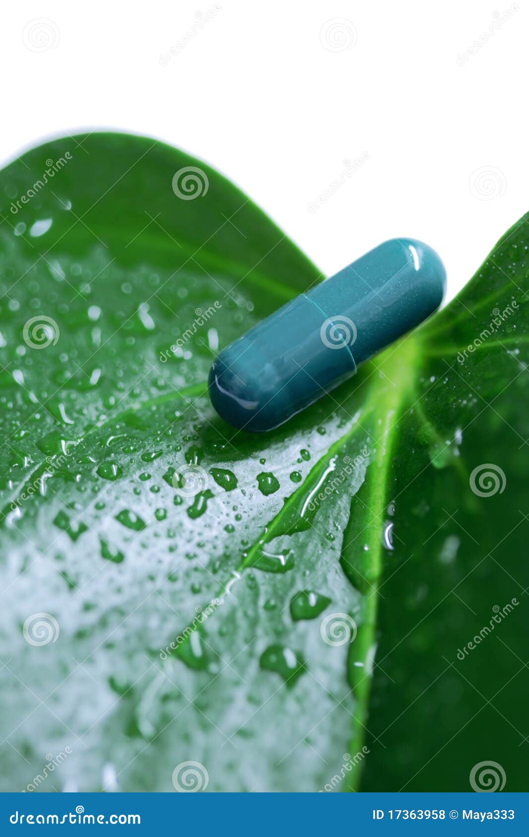 Pill on the green leaf stock photo. Image of treatment - 17363958