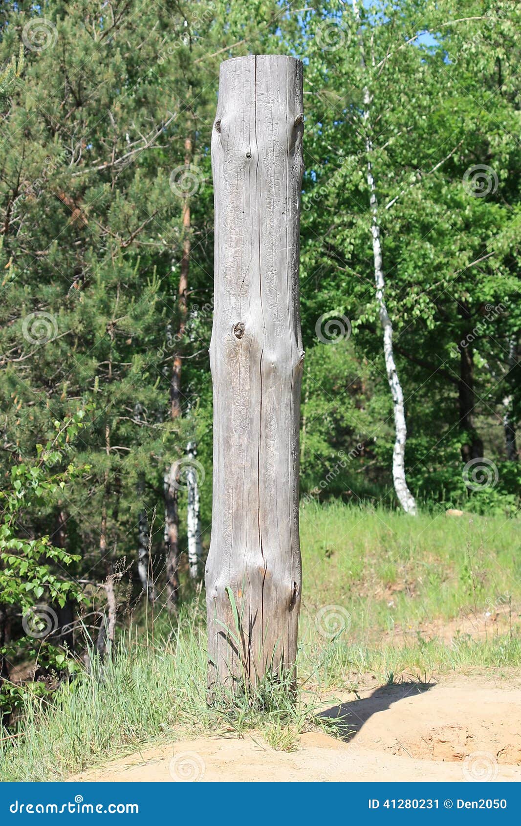 Pillar stock image. Image of grass, column, forest, nature - 41280231