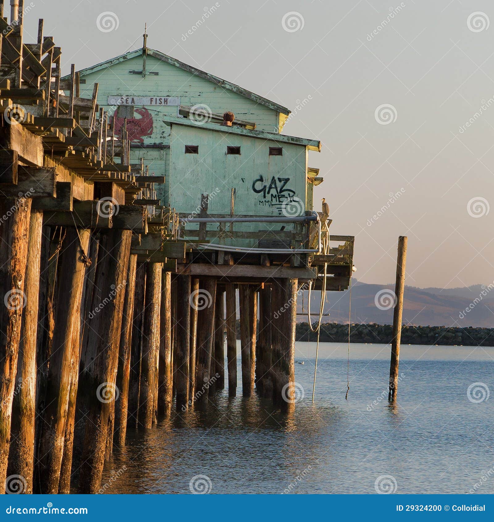 Pillar Point Pier stock photo. Image of cannery, point - 29324200