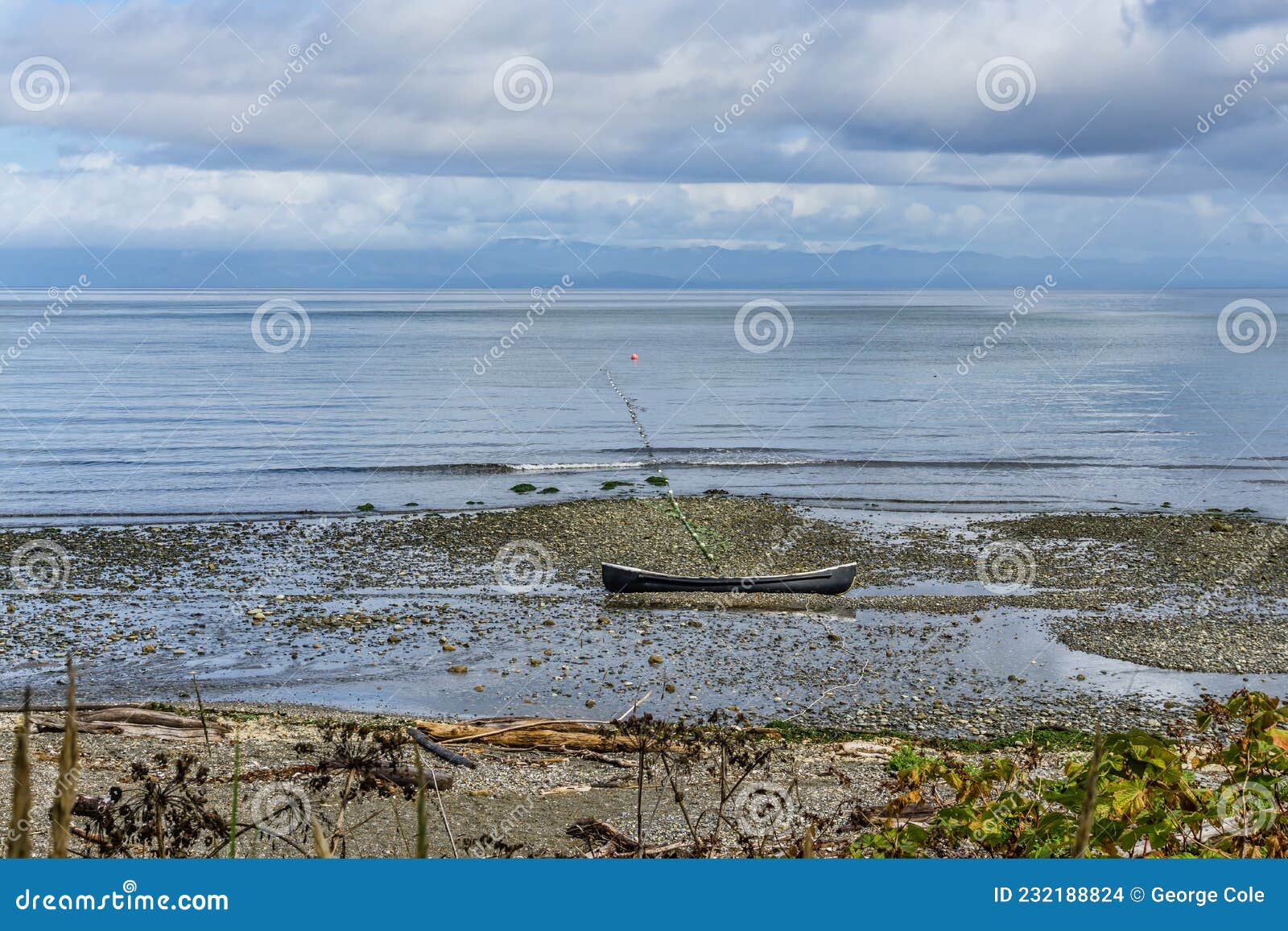Pillar Point Shoreline stock photo. Image of state, landscape - 232188824