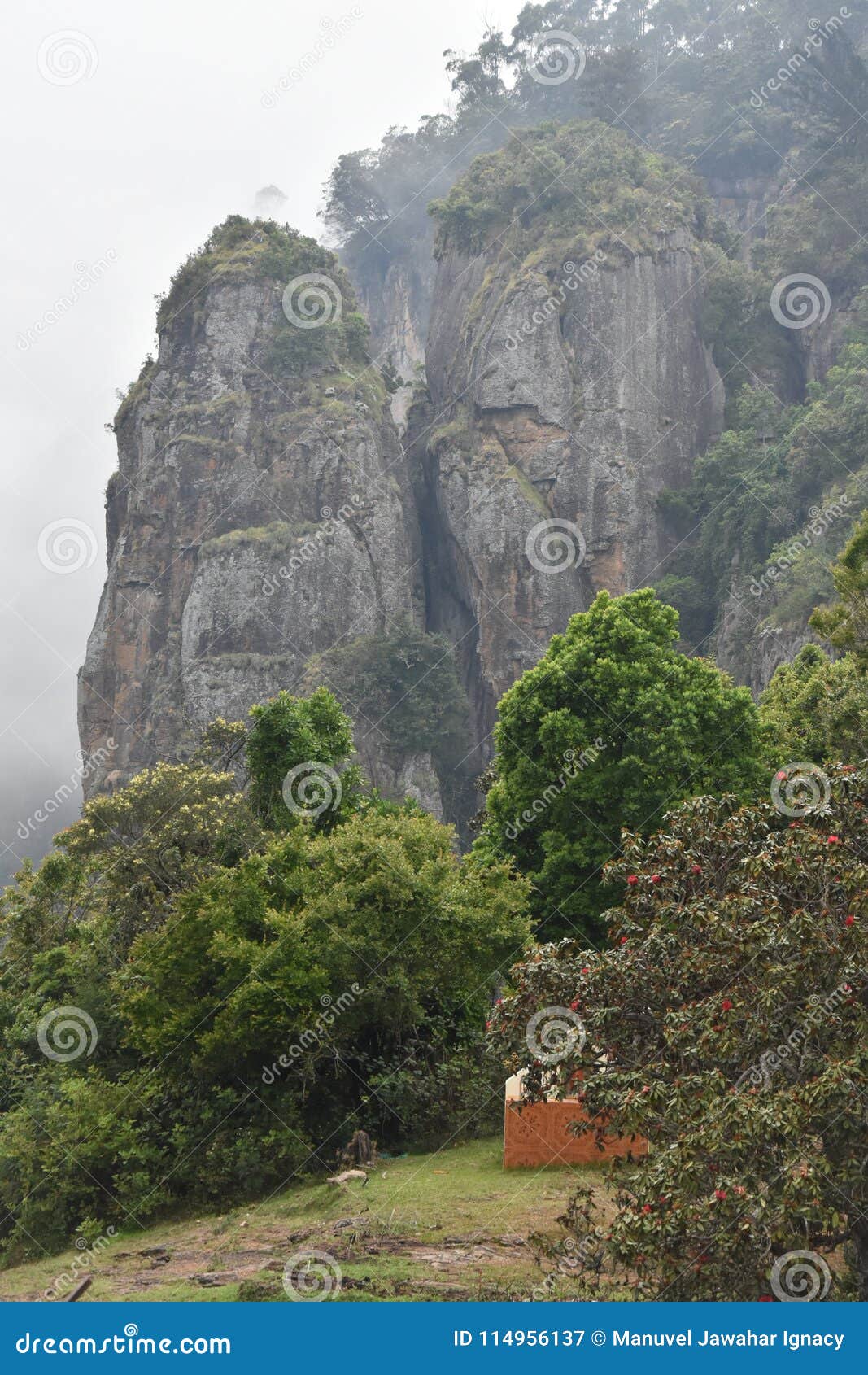 Pillar rocks in kodaikanal stock image. Image of january - 114956137