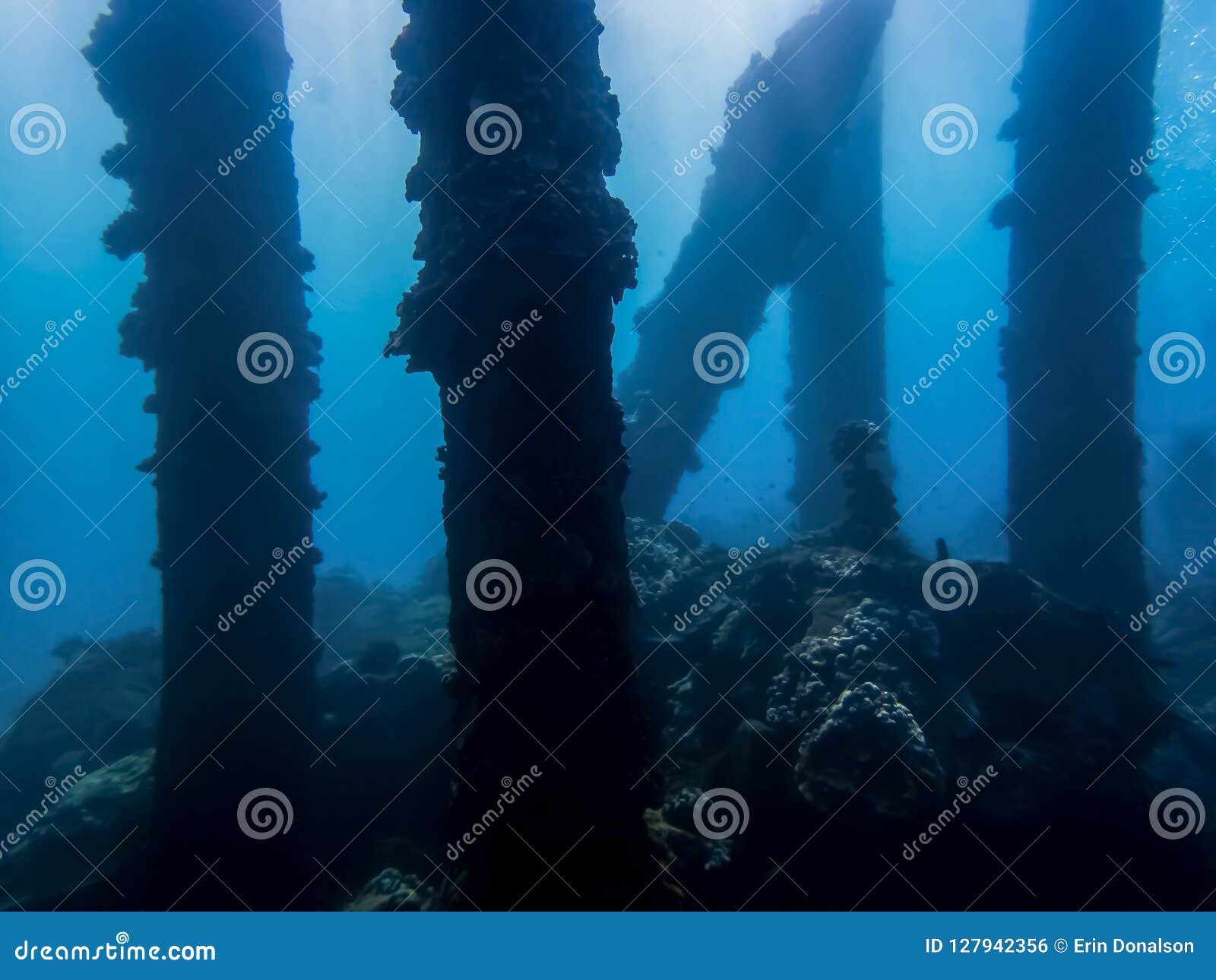 Pillars from Collapsed Pier Crusted with Coral Underwater in Blu Stock ...