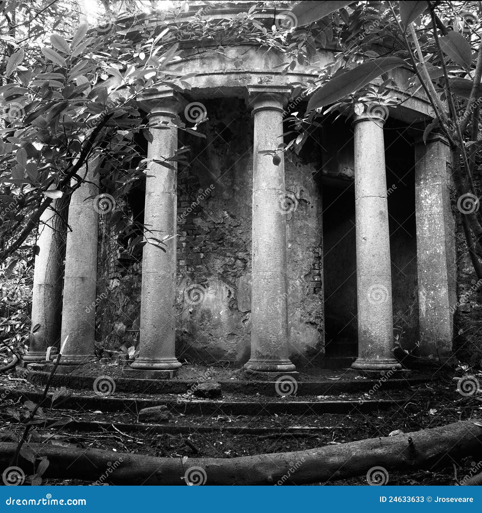 Pillars in the forest stock image. Image of branch, building - 24633633