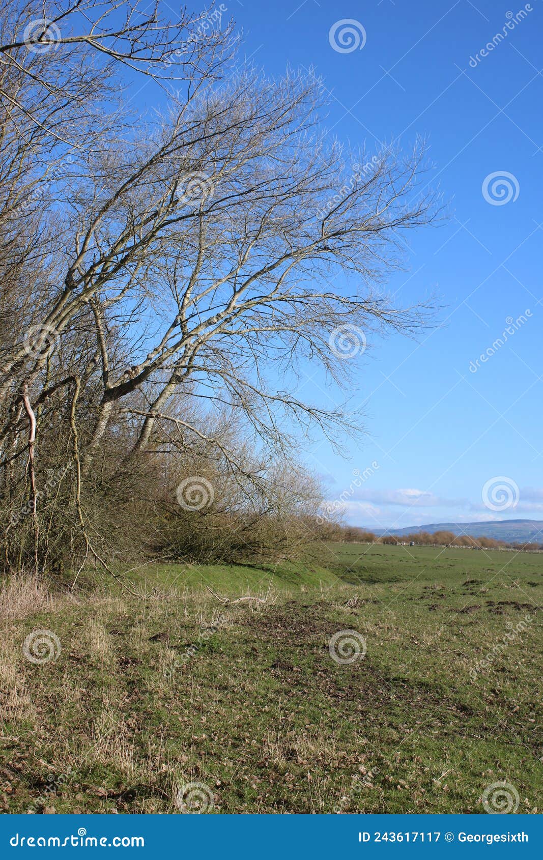 Pilling Marsh from Pilling Amenity Area Stock Image - Image of marsh ...