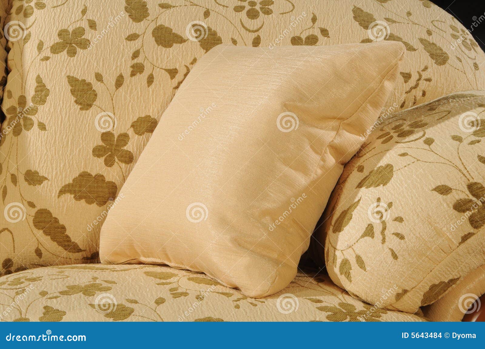 Pillow Picture. Image: 5643484