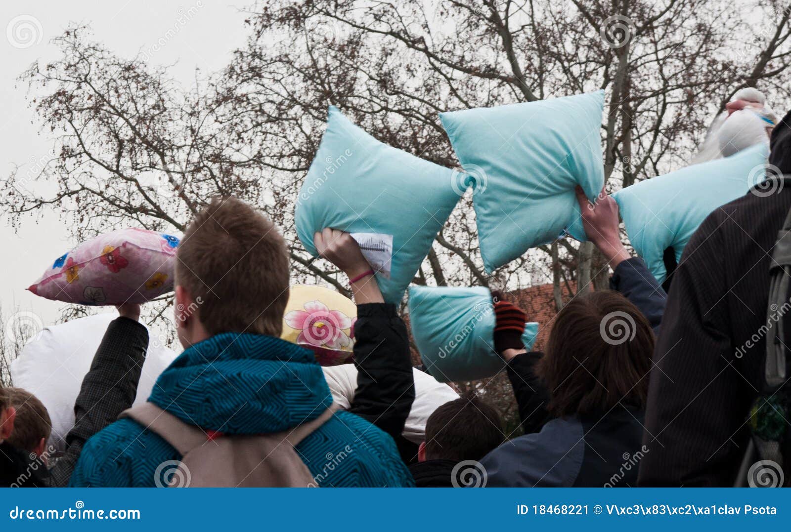 Pillow fight editorial photo. Image of pillows, celebration - 18468221