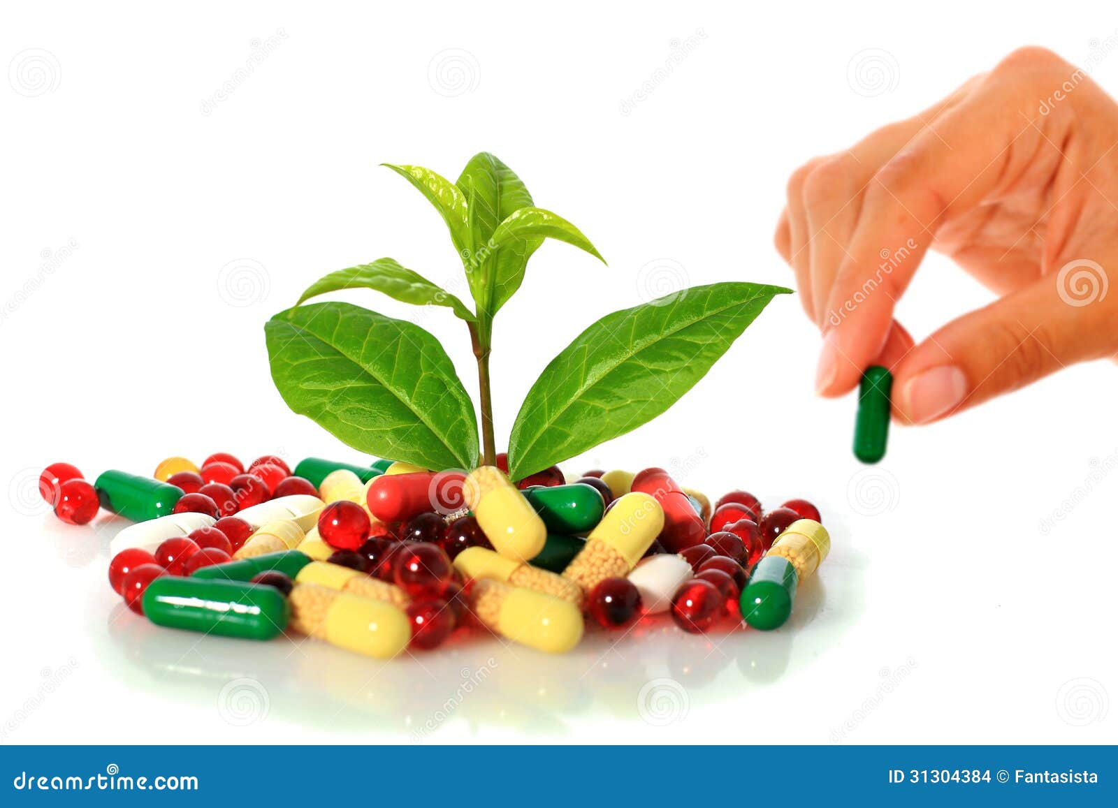 Pills and plant. stock photo. Image of isolated, care - 31304384