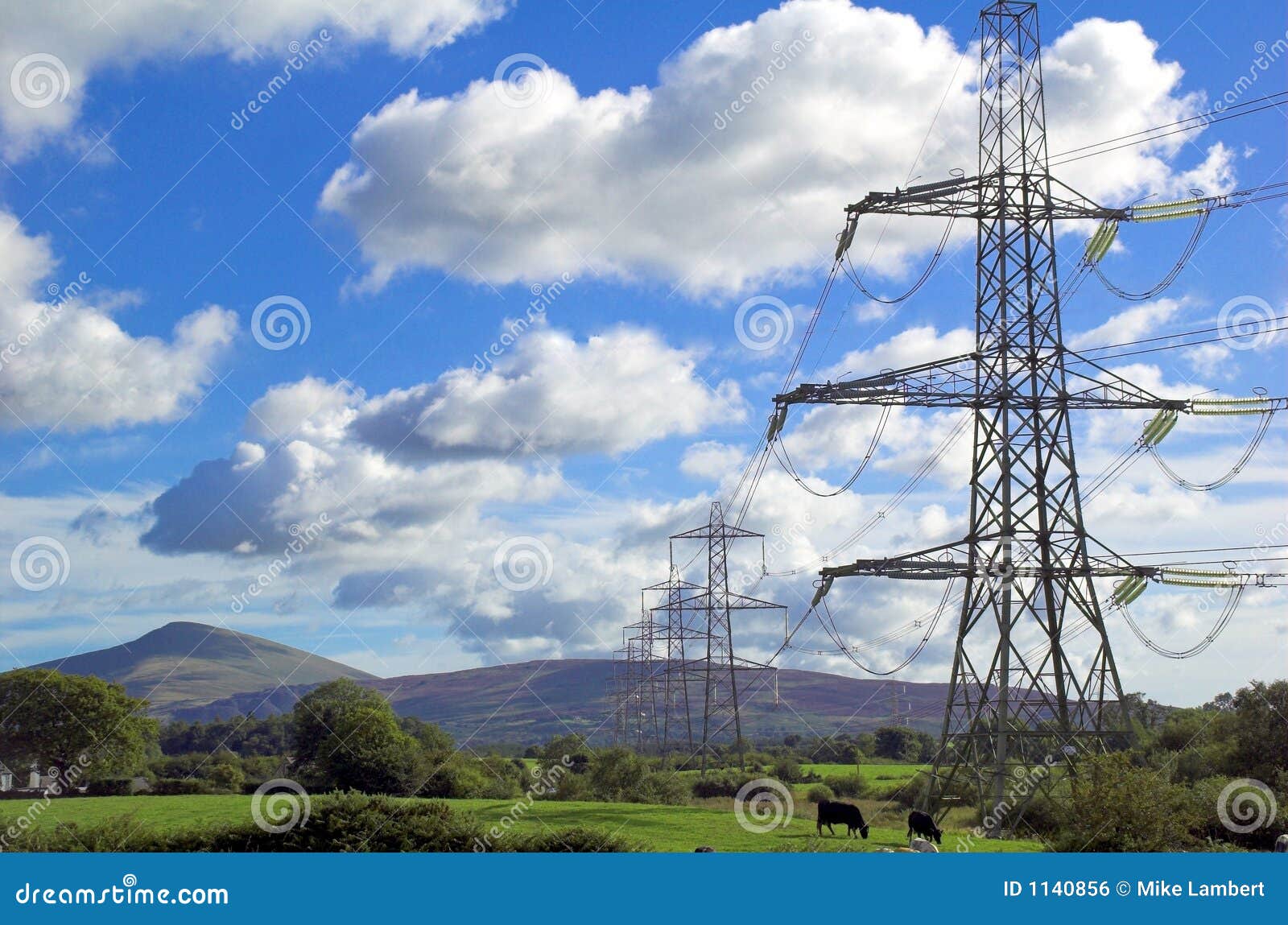 Pilone fotografia stock. Immagine di montagne, alberi - 1140856