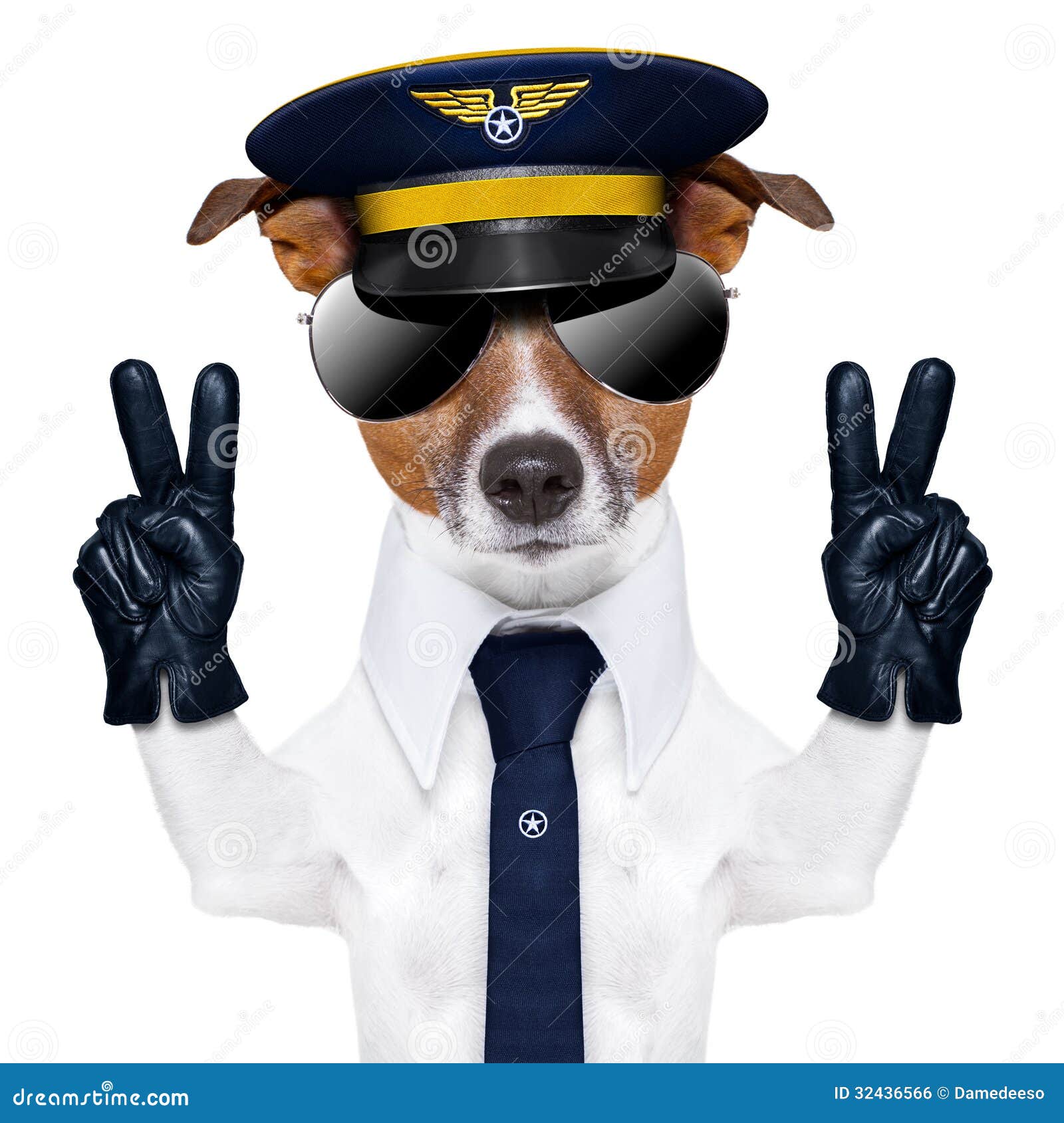 Aviator Dog Memes