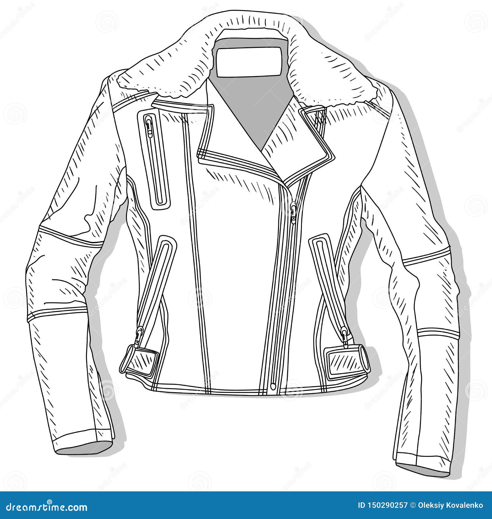 Pilot Jacket. Bomber. Vector Illustration of Female Pilot Jacket Stock ...
