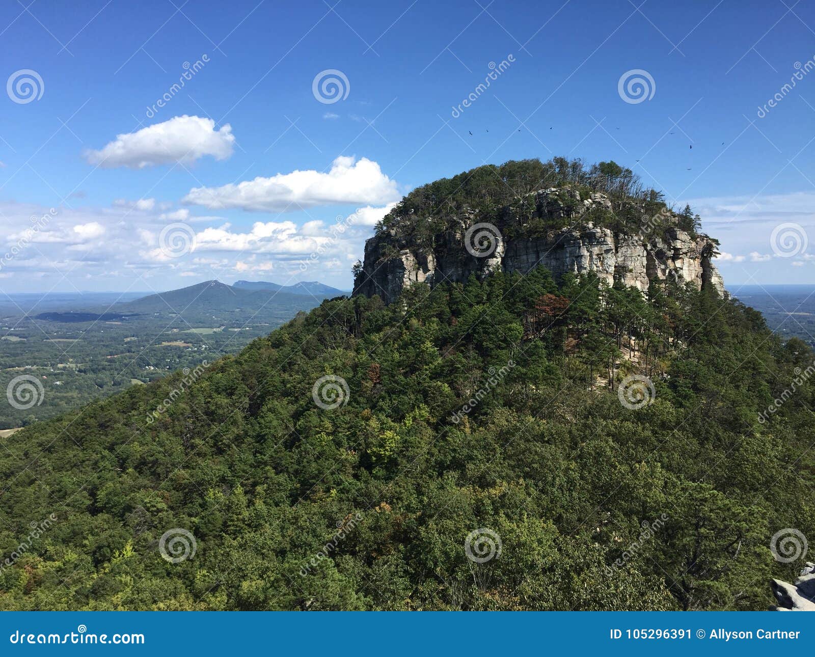 Pilot Mountain fotografering för bildbyråer. Bild av fotvandra - 105296391
