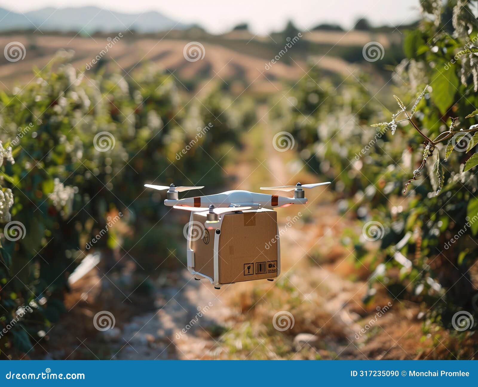 Pilot Project for Streamlined Drone Logistics in a Rural Delivery ...