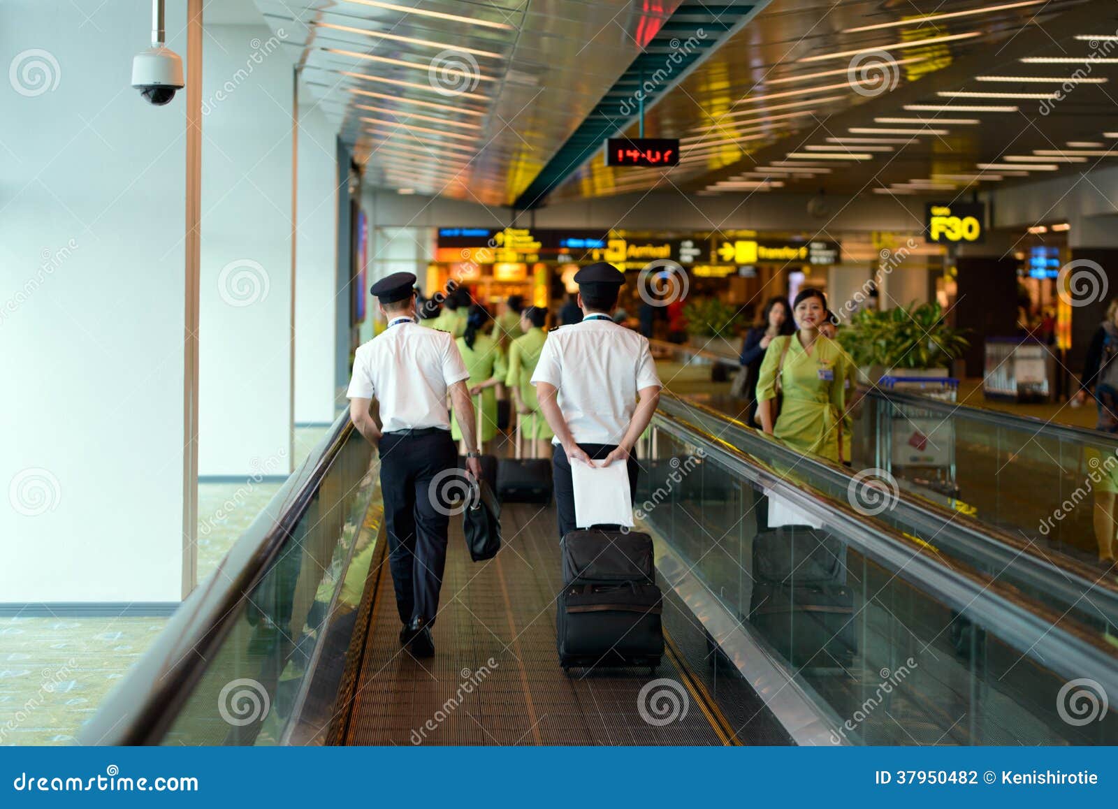 Pilot and stewardess editorial photography. Image of south - 37950482