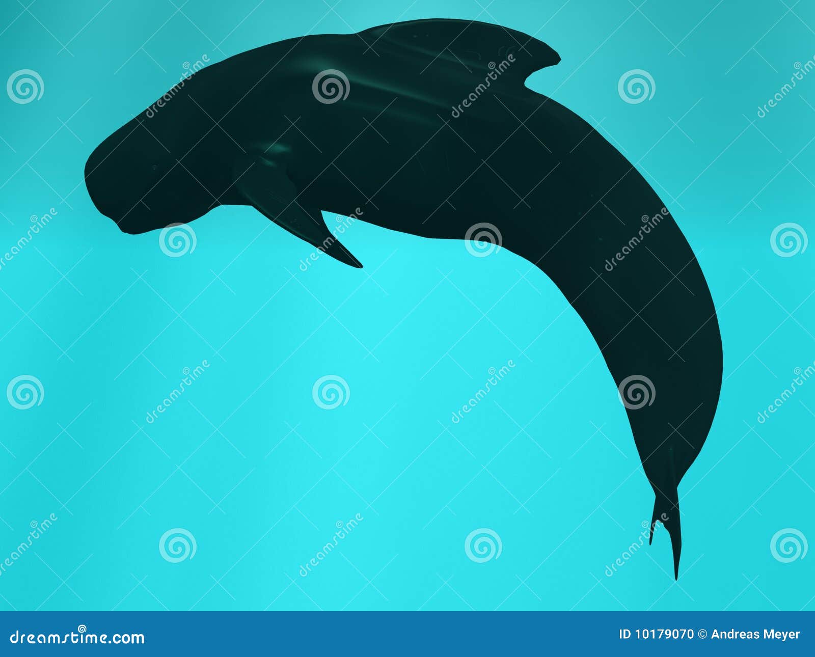 Pilot Whale stock illustration. Illustration of deep - 10179070