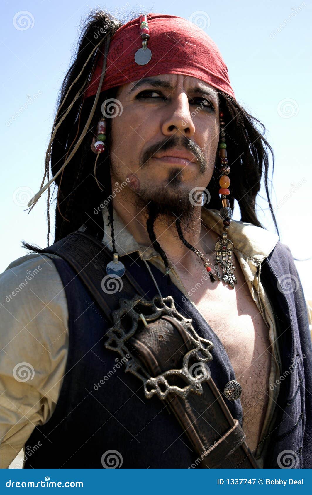 Pilote Alert de pirate image stock. Image du pilote, plot - 1337747