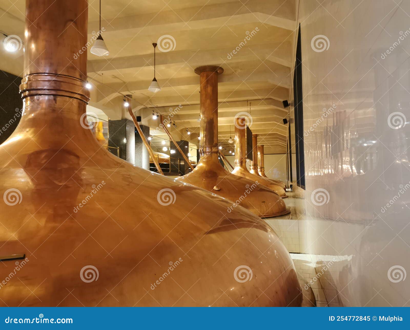 Pilsen brewery 08 stock image. Image of trip, horizont - 254772845