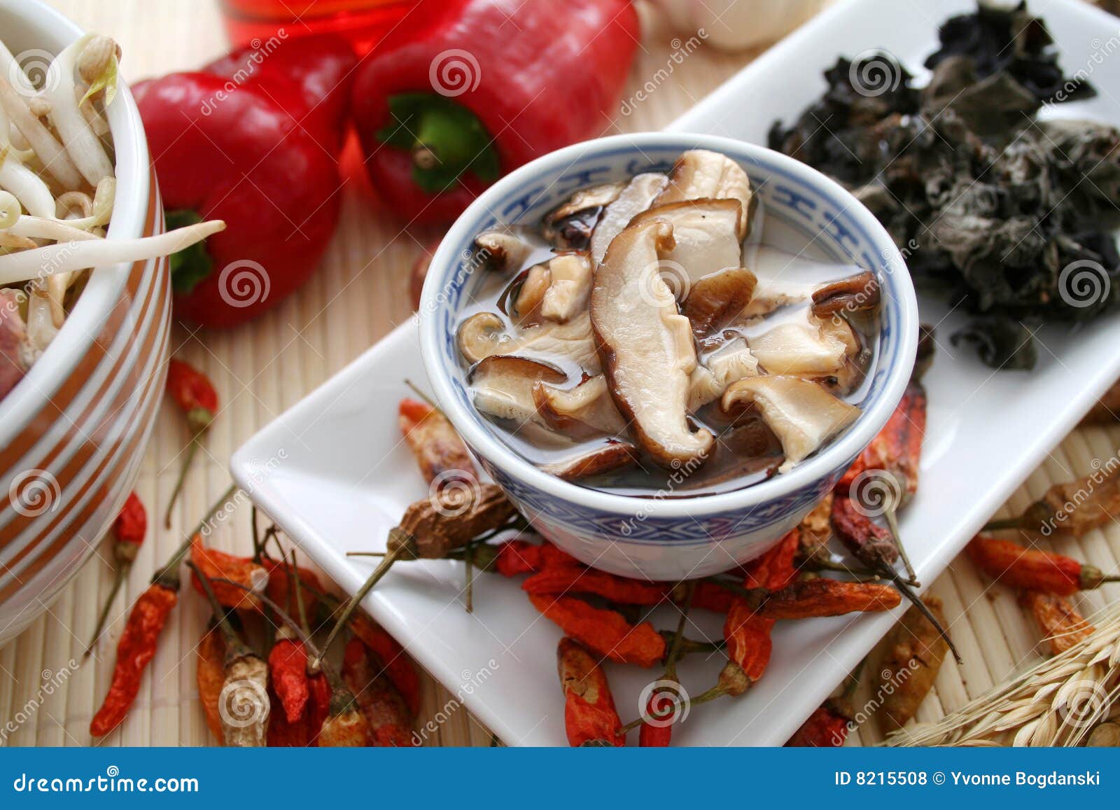 Pilze stock photo. Image of chili, vitamins, chinese, fresh - 8215508