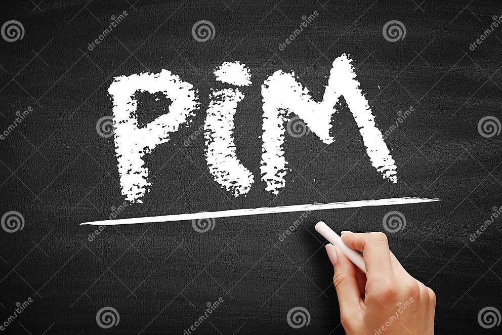 PIM Personal Information Manager - Type of Application Software that ...