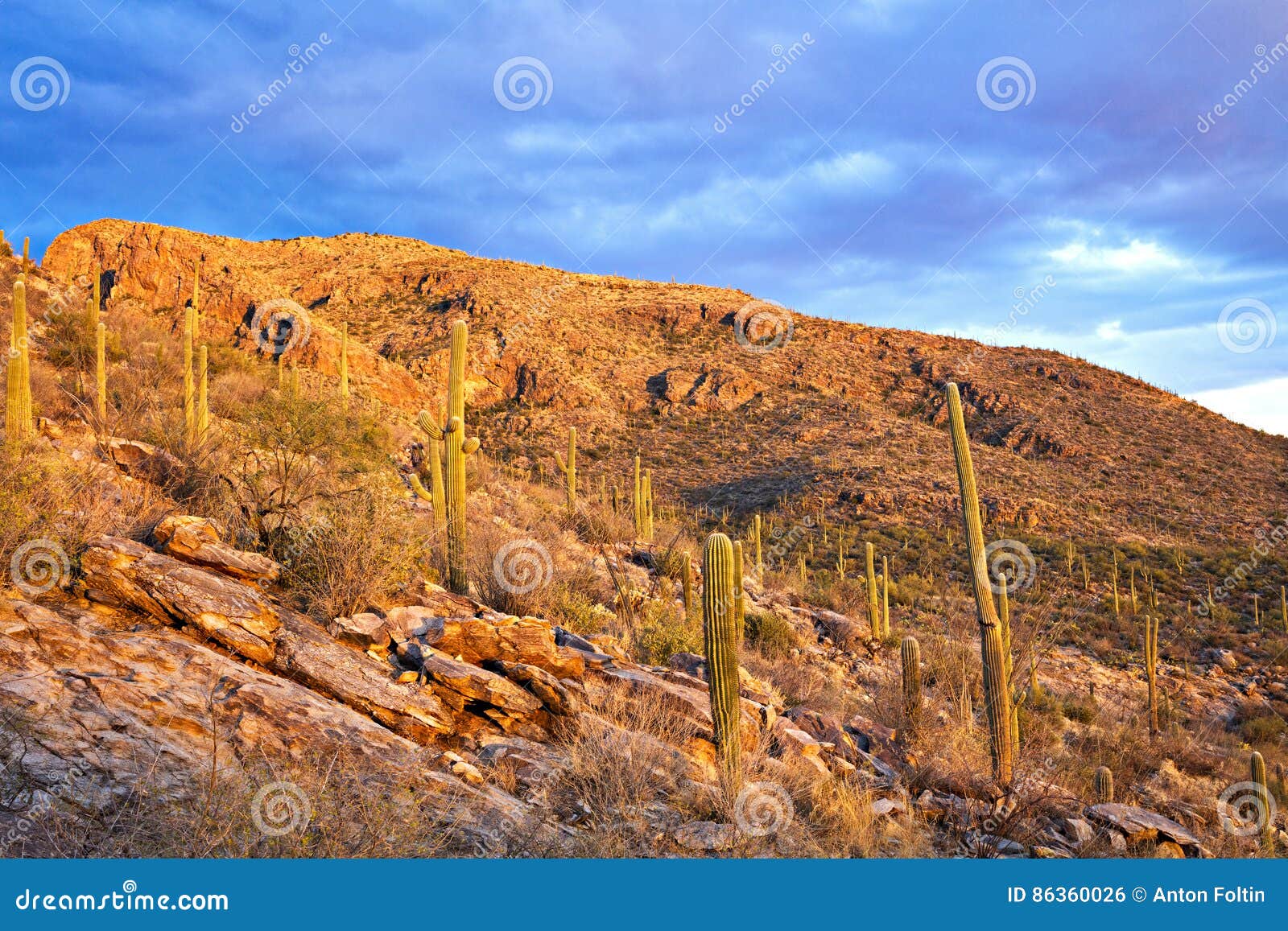 Pima Canyon stock photo. Image of sunset, catalina, tucson - 86360026