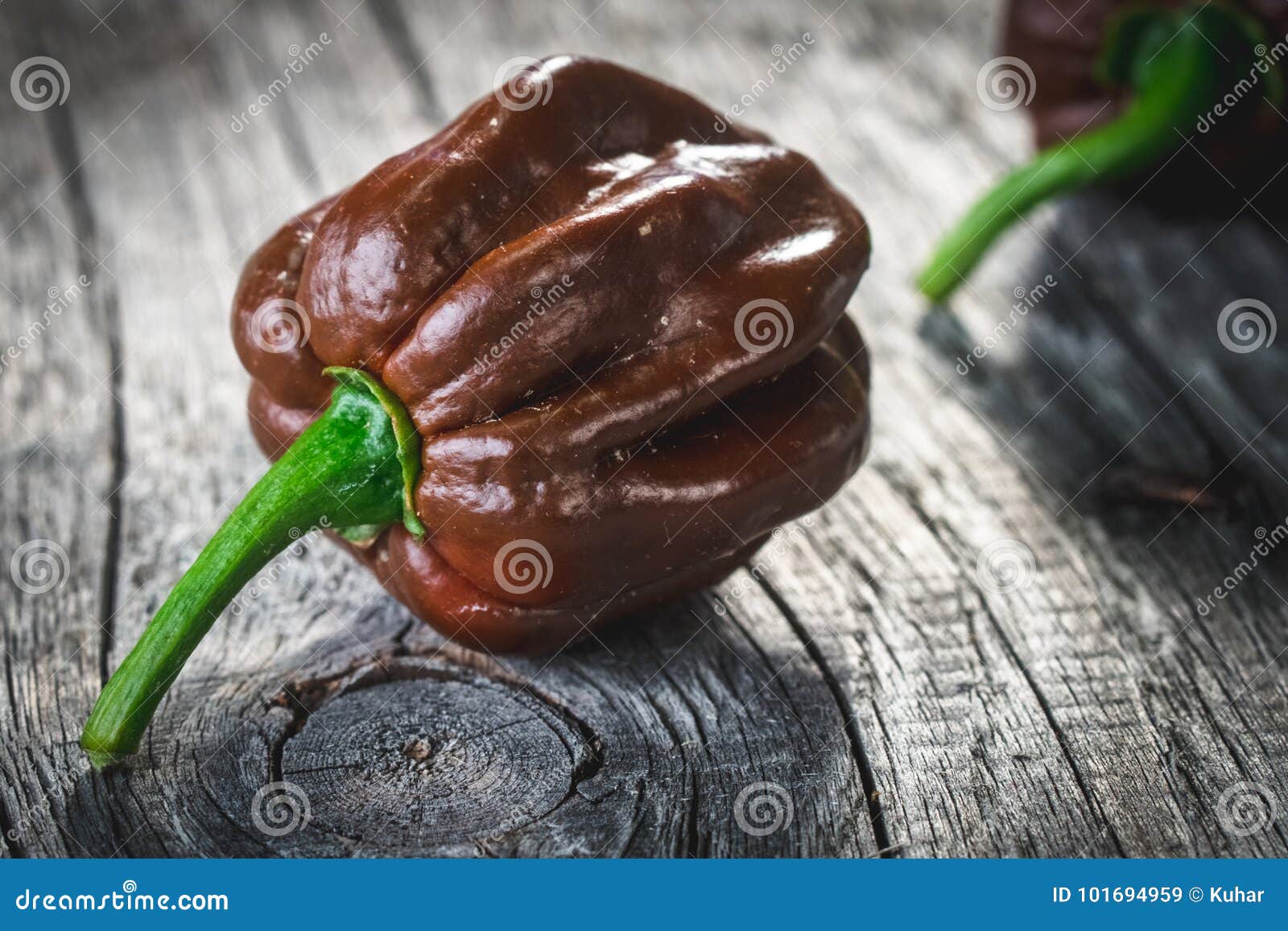Piment De Chocolat De Habanero Image stock - Image du fruits, rouge ...