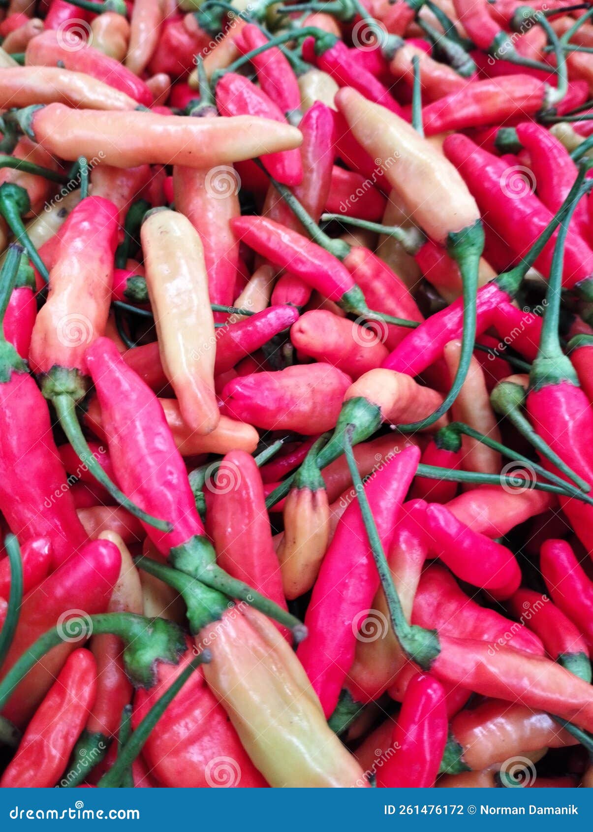 Piment Rouge Dans Un Centre Commercial Traditionnel Photo stock - Image ...