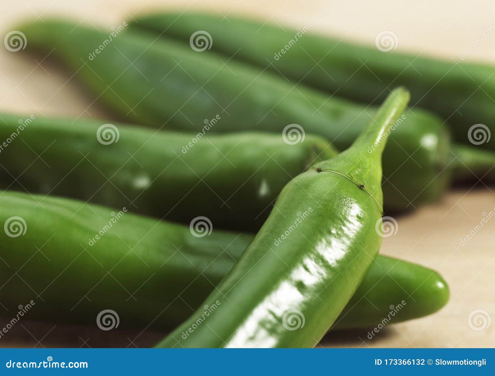 PIMENT VERT stock photo. Image of capsicum, green, plant - 173366132